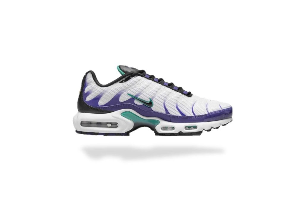 NIKE AIR MAX PLUS TN SILVER SWOOSH – SNEAK OFFICIAL STORE